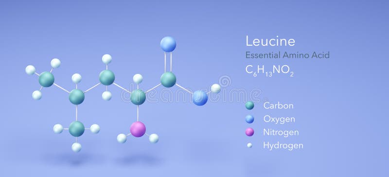Leucine, Essential Amino Acid, Molecular Structures, 3d Rendering ...