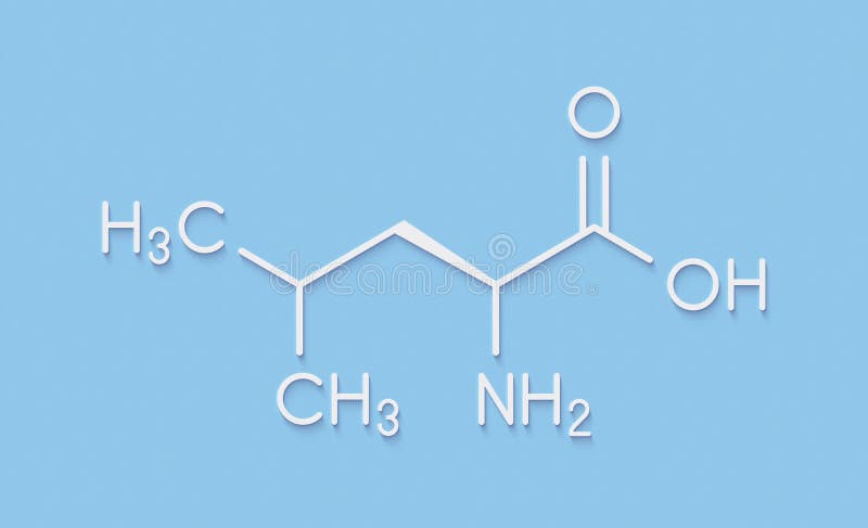 Leucine L- Leucine, Leu, L Molecule. It Is Essential Amino Acid ... Leucine L- Leucine, Leu, L Molecule. It Is Essential Amino Acid ...