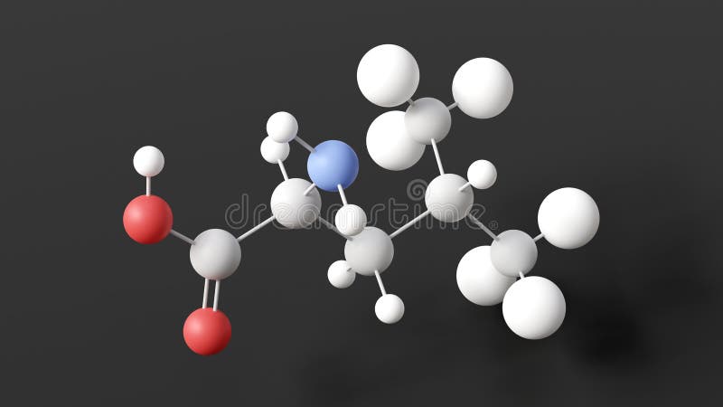 Leucine Molecular Structure, 3d Model Molecule, Essential Amino Acid ...