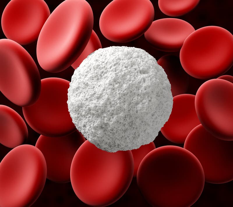 Leucocytes dans le sang illustration stock. Illustration du partie ...