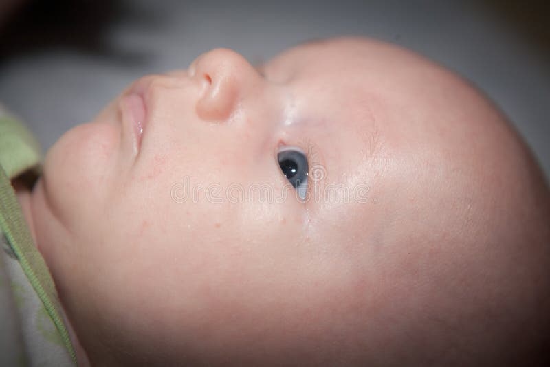 Profiel Van Een Baby Die Aan De Kant Kijken Stock Afbeelding - Image of ...