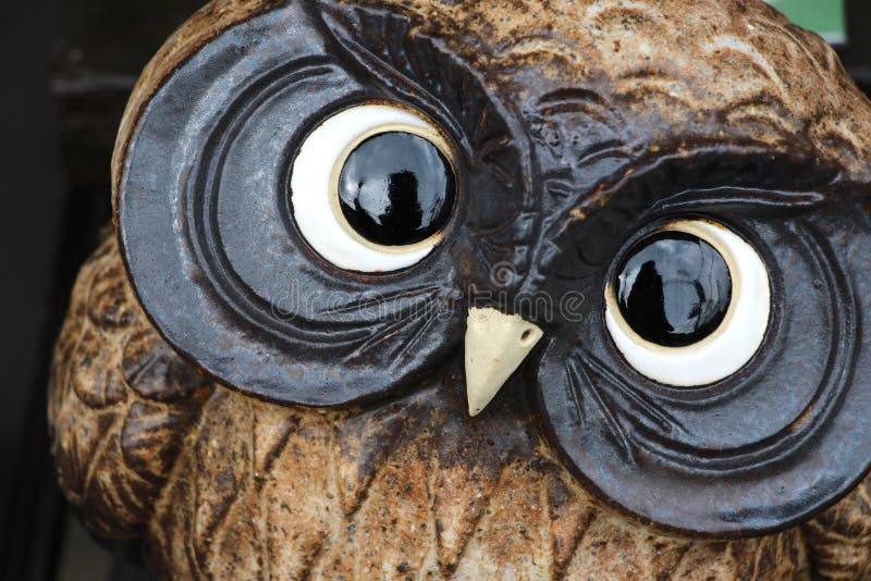 Leuk Weinig Uil Met Grote Ogen Stock Afbeelding - Image of bloesem ...