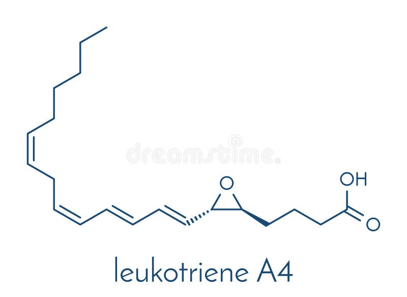 Lta4 Molecule Stock Illustrations – 15 Lta4 Molecule Stock ...
