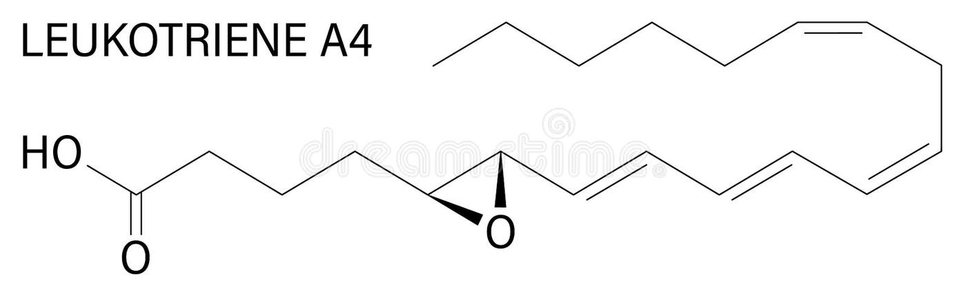 Lta4 Molecule Stock Illustrations – 15 Lta4 Molecule Stock ...