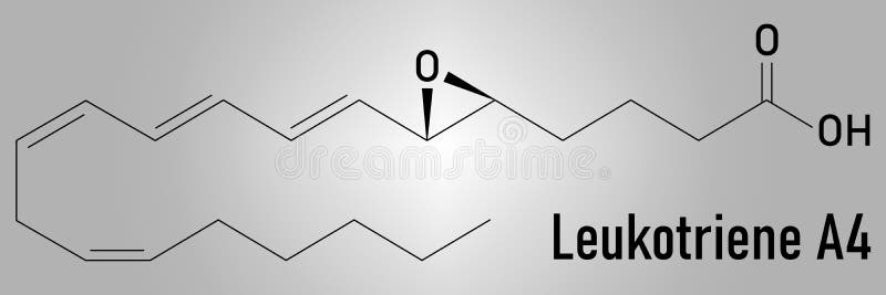Leukotriene A4 or LTA4 Molecule. Skeletal Formula Stock Vector ...