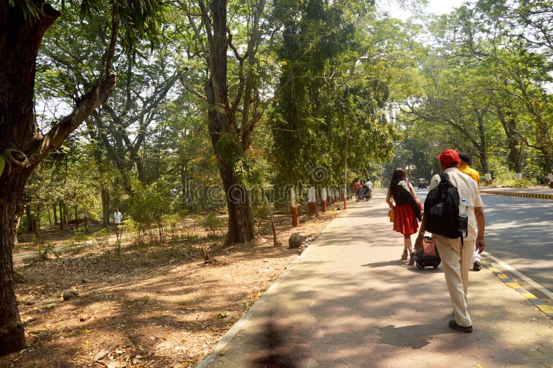 Leute, Die Auf Der Straße Sich Wundern Redaktionelles Bild - Bild von ...