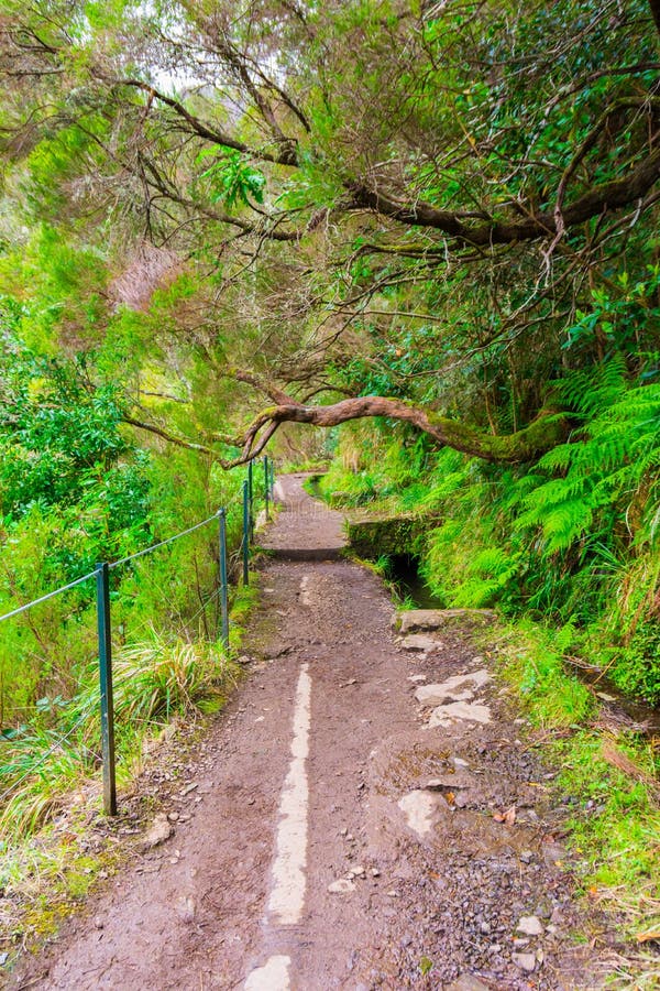 Levada Das 25 Fontes and Levada Do Risco Stock Image - Image of rocks ...