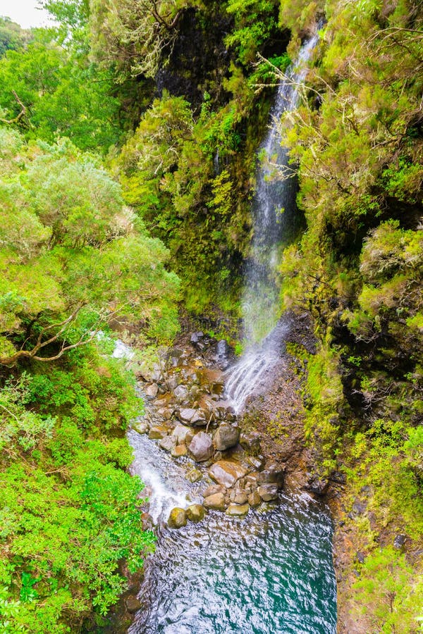 Levada Das 25 Fontes and Levada Do Risco Stock Image - Image of ...