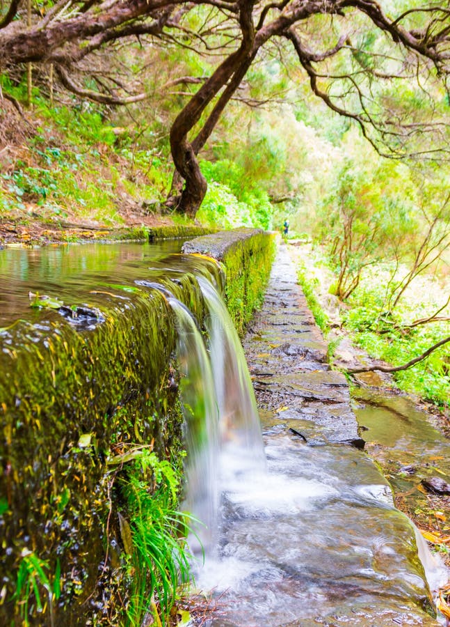 Levada Das 25 Fontes and Levada Do Risco Stock Image - Image of forest ...