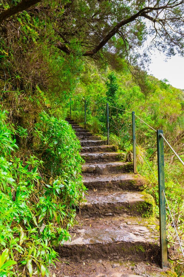 Levada Das 25 Fontes and Levada Do Risco Stock Image - Image of outdoor ...