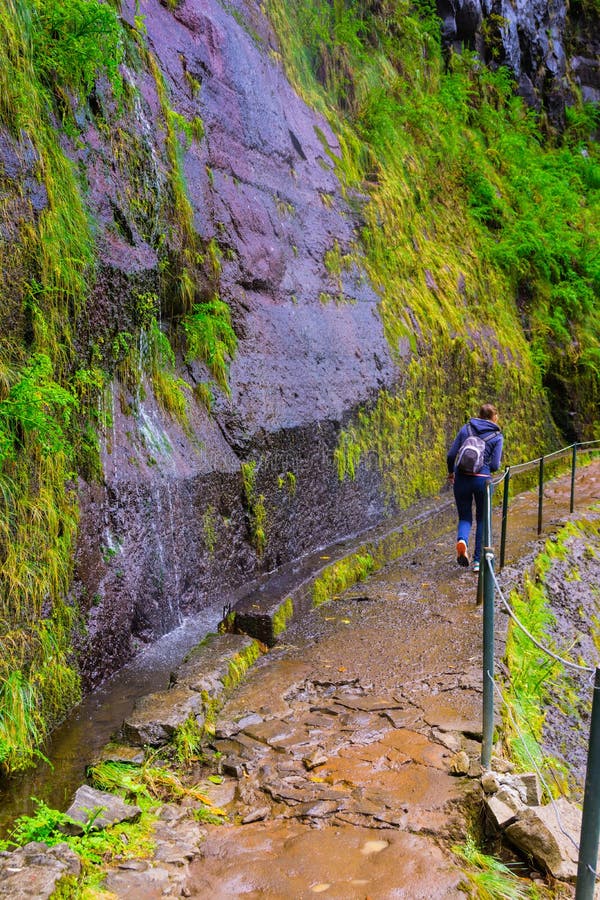 Levada Das 25 Fontes and Levada Do Risco Editorial Image - Image of ...