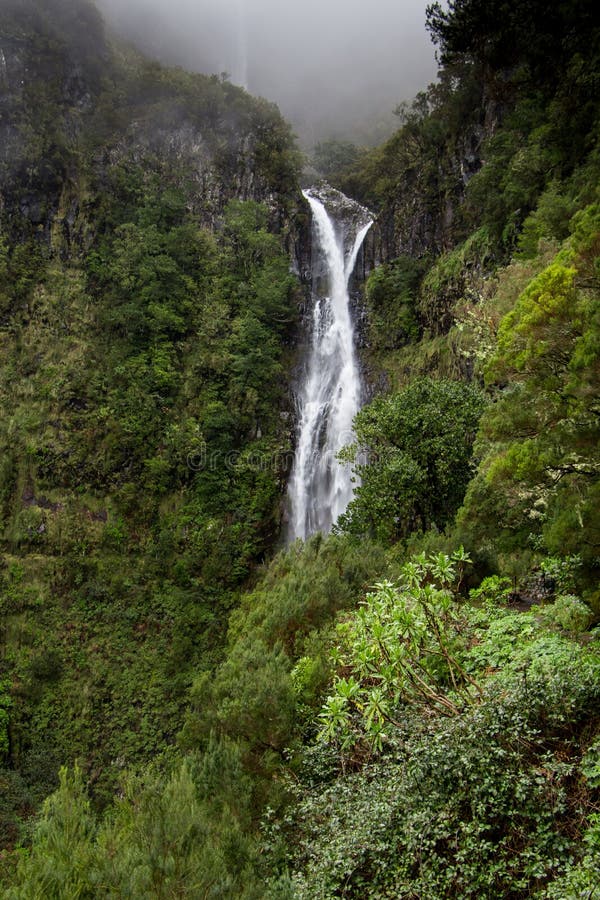 Risco Waterfall Of The Twenty-five Fountains Levada Hiking Trail ...