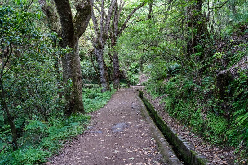 Levada Dos Balcoes in Ribeiro Frio, Hiking on Trekking Trail Vereda Dos ...