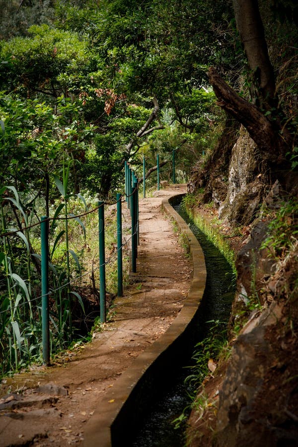 Levada on Madeira - Irrigation Canal and Tourist Trail Stock Image ...
