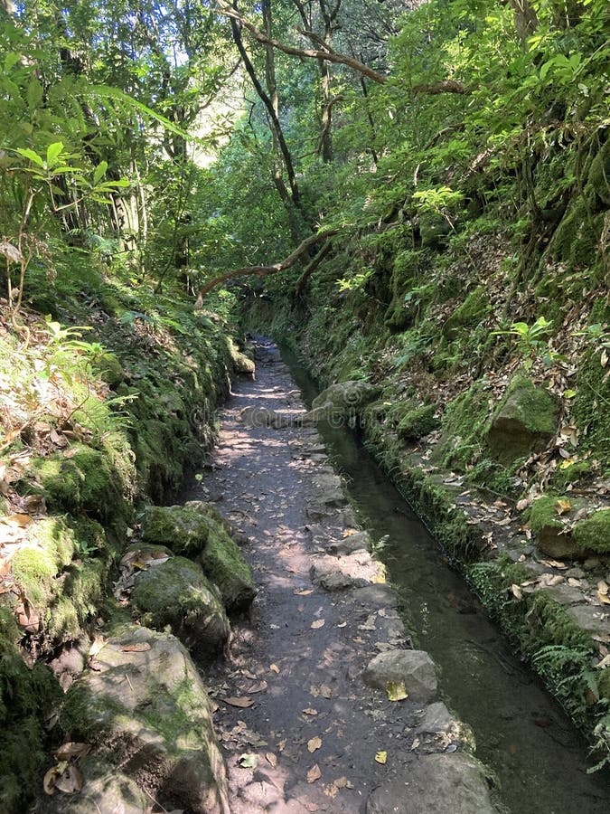 Levada trail stock photo. Image of portugal, landmark - 340707726