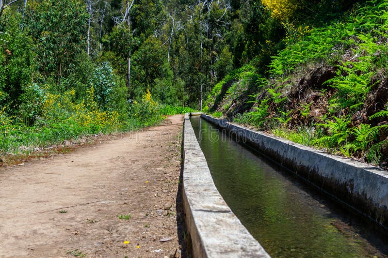 Levada Walking Path High in Madeira Mountains Stock Image - Image of ...
