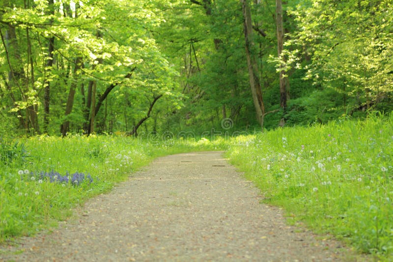 Level Path stock image. Image of level, nature, rocky - 249403001