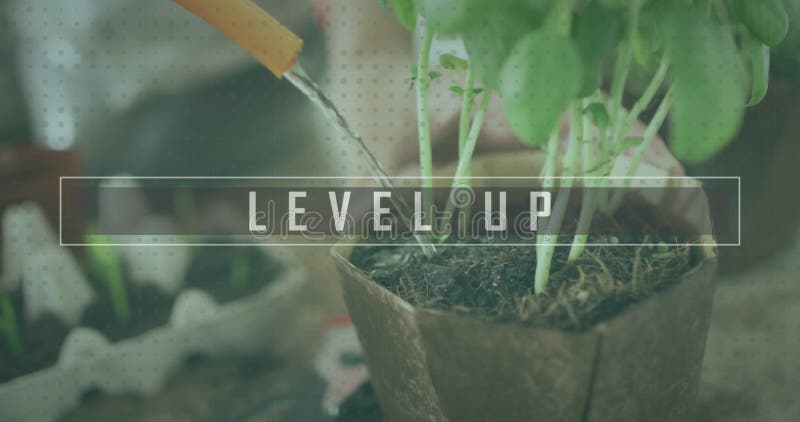 Level Up Text Animation Over Watering Plants in Biodegradable Pot Stock ...