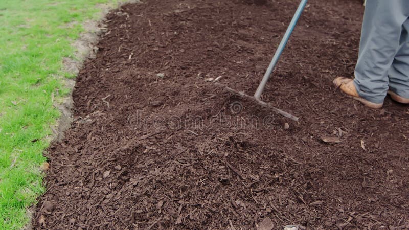 Mulching Garden Plants with Tree Bark Mulch. Landscape Maintenance ...