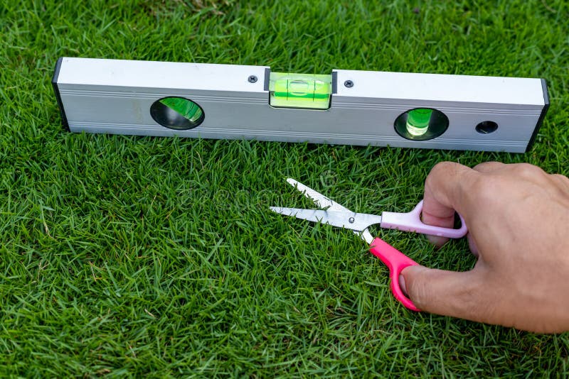 Levelling and Cutting the Grass with the Help Small Scissors and Using ...