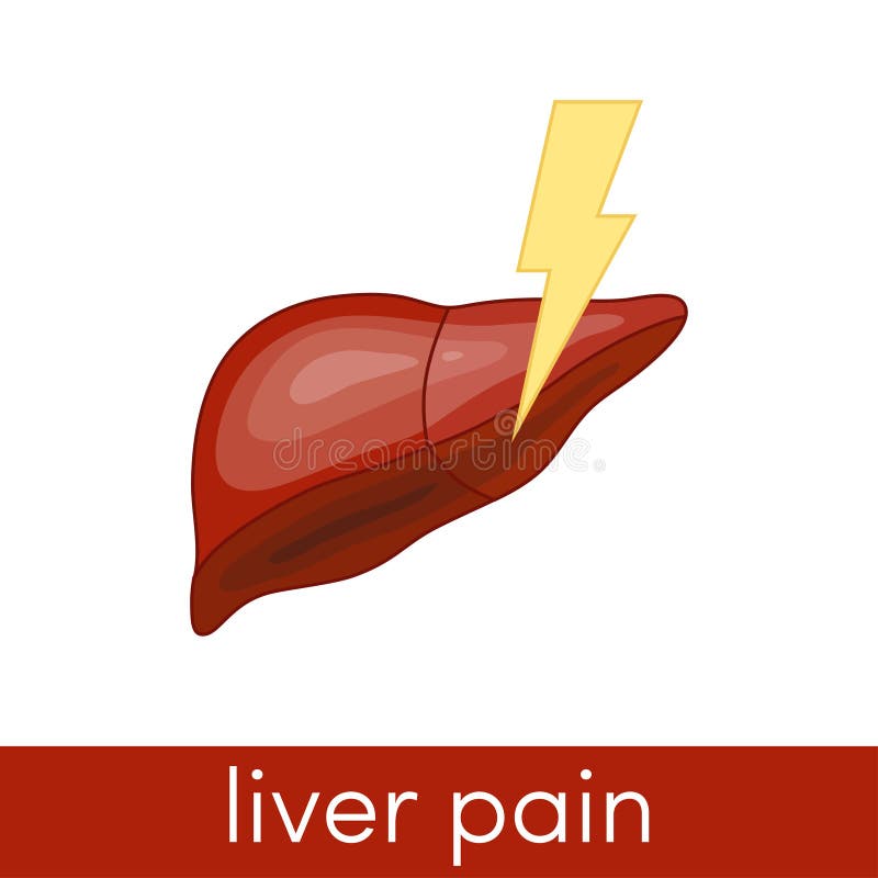 Lever Pijn Lijn Pictogram Gezondheidsproblemen Concept Zieke Humane ...