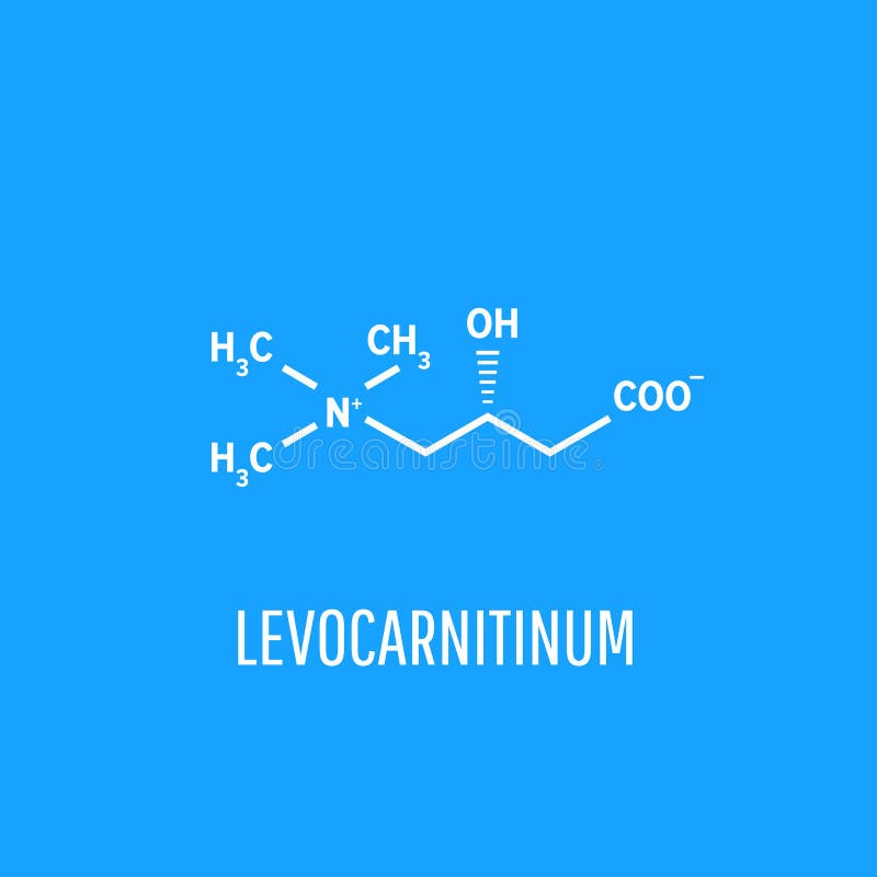 Levocarnitine Biological Molecule. Acetylcarnitine Biological Molecule ...
