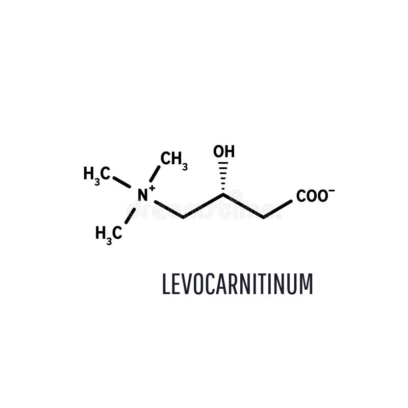 Levocarnitinum Structural Chemical Formula on White Background Stock ...