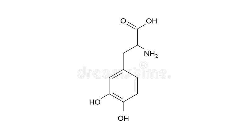 Levodopa Molecule, Structural Chemical Formula, Ball-and-stick Model ...