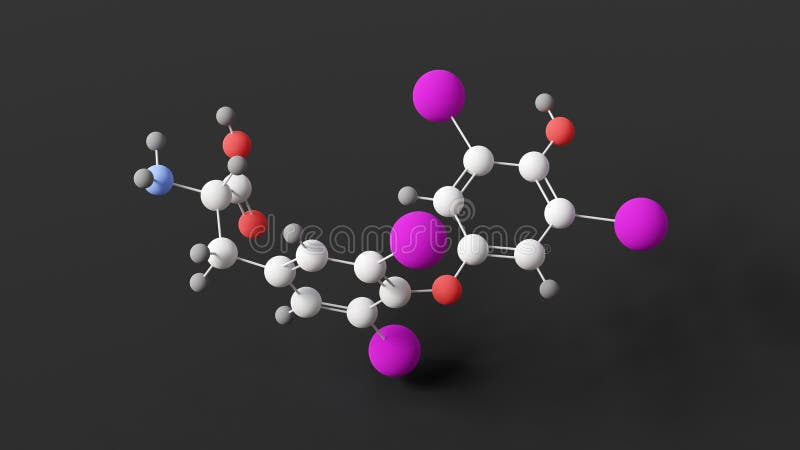 Levothyroxine Molecule, Molecular Structure, L-thyroxine, Ball and ...