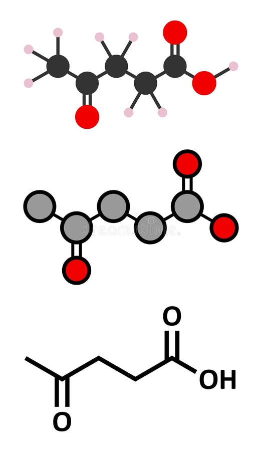 Cellulose Structure 3d
