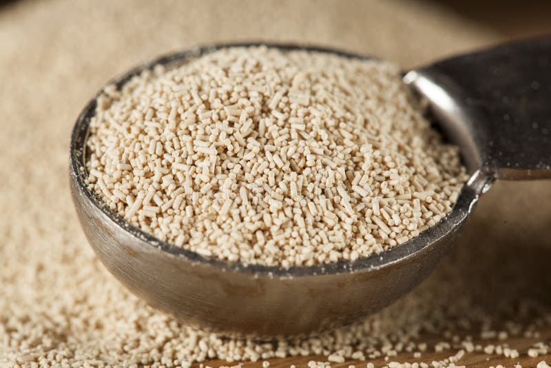 Levure Crue Organique Pour Le Pain De Cuisson Image stock - Image du ...