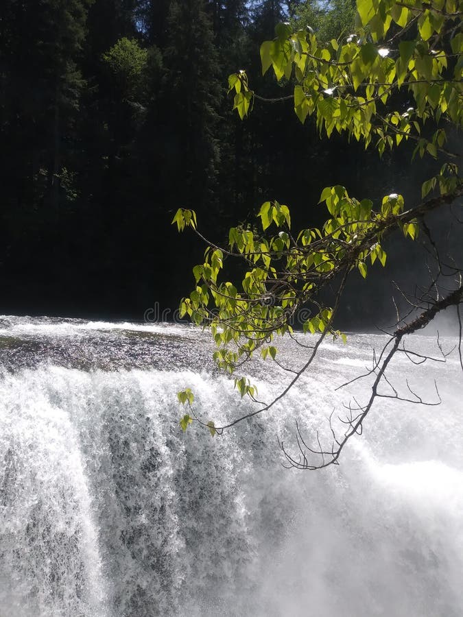 The Lewis Falls stock photo. Image of falls, lewis, waterfall - 118116170