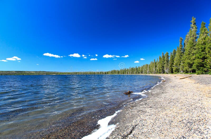 The Lewis Lake in the Yellowstone Stock Photo - Image of tourism ...