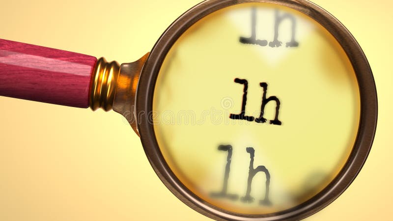 288 Inspect Under Magnifying Glass Thorough Analysis Inspection Stock ...