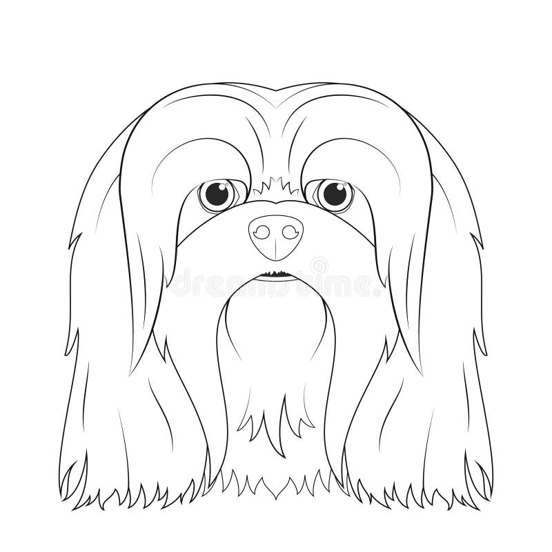 Lhasa Apso Dog Easy Coloring Cartoon Vector Illustration. Isolated on ...