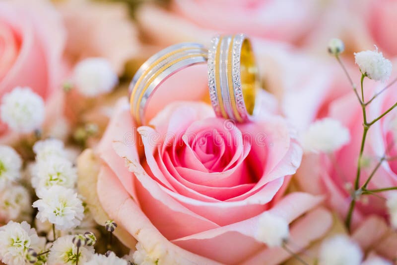 Liaison stock image. Image of diamond, rings, gold, branch - 281438387