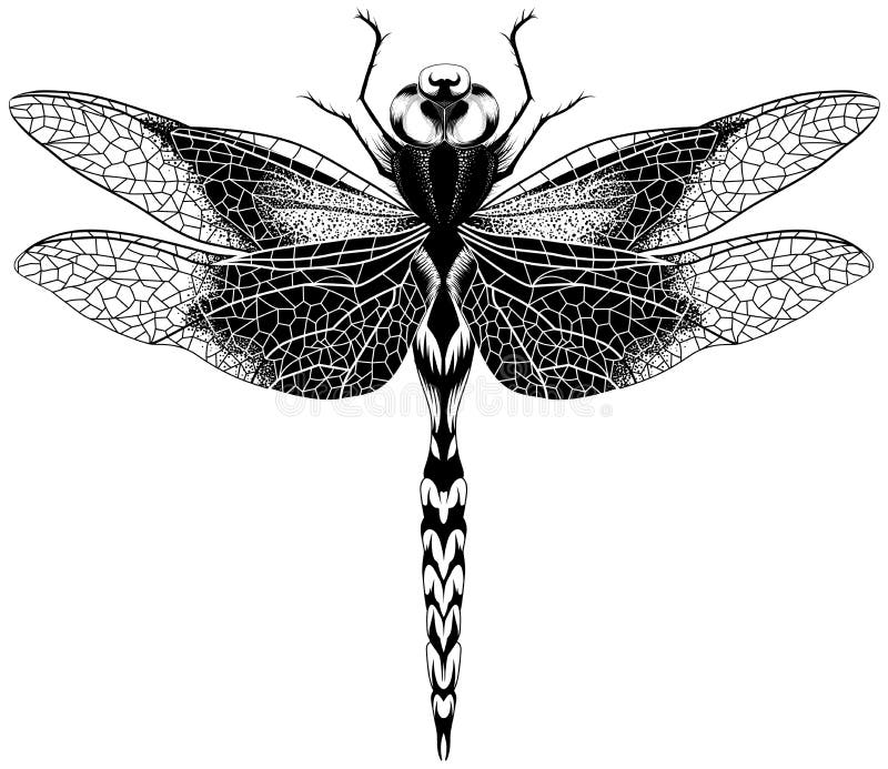 Insecto Negro De La Libélula Ilustración del Vector - Ilustración de ...