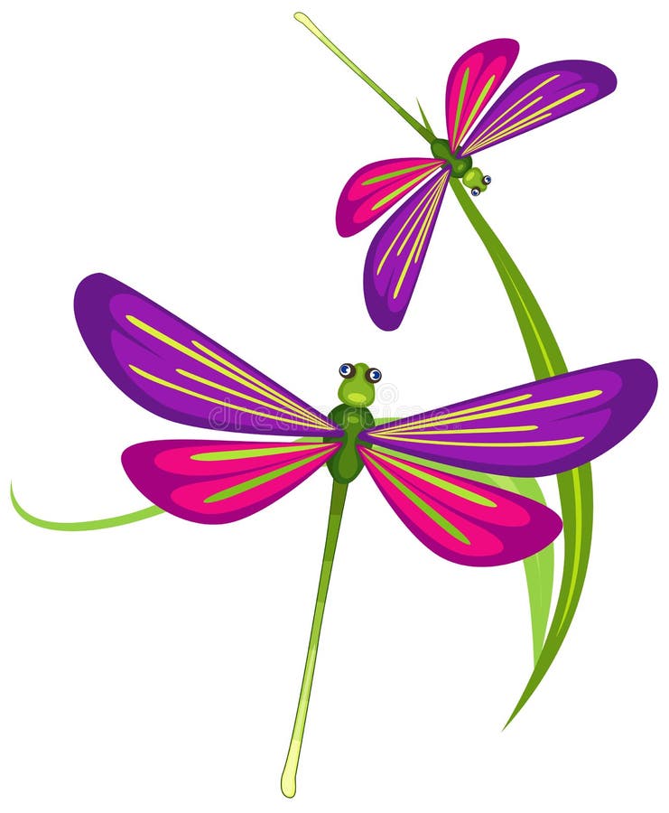 Libélulas ilustración del vector. Ilustración de floral - 13023798