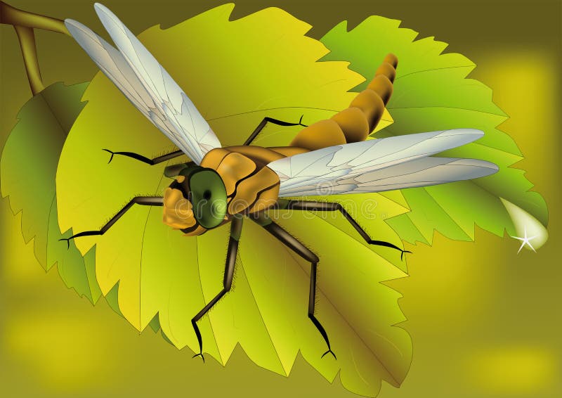 Libellule stylisée illustration stock. Illustration du insecte - 11110503