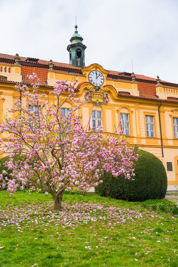 Liben Castle in Rococo Style in Spring with Magnolia Tree Stock Photo ...