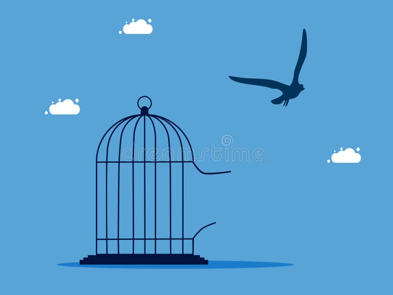 Bird Flying Away From Cage
