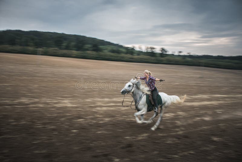 Liberdade, Cavalo De Galope Foto de Stock - Imagem de cavalo ...
