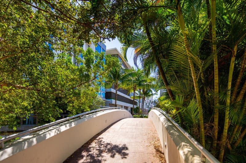 Liberty Avenue Pedestrian Bridge Miami Beach Stock Image - Image of ...