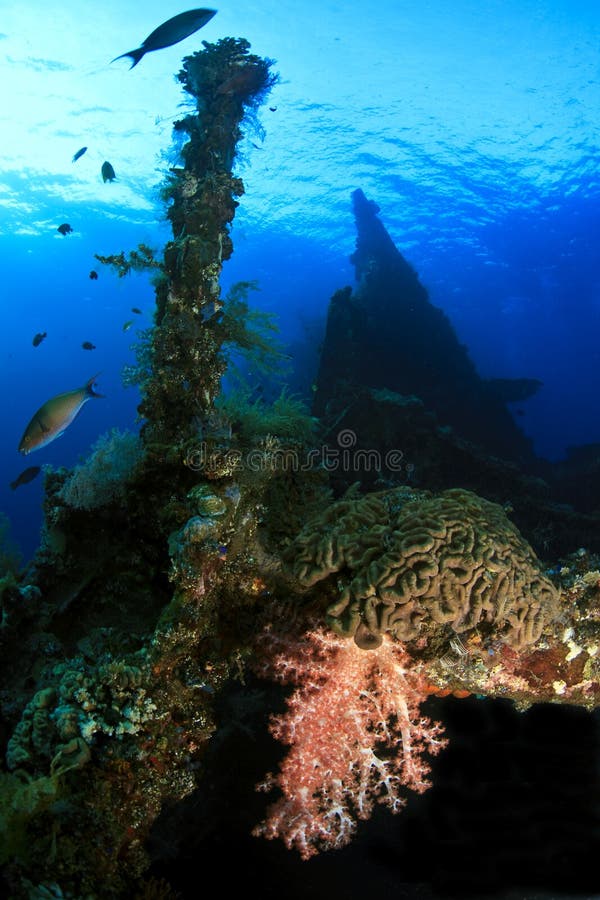 USS Liberty stock image. Image of marine, wreck, life - 10634103
