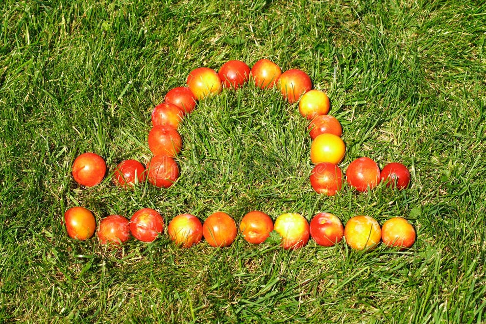 Libra stock photo. Image of zodiac, sign, libra, food - 6064670