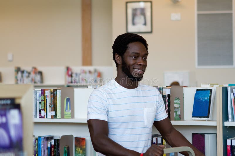Librarian at Work Replacing Books Stock Image - Image of bookshelf ...