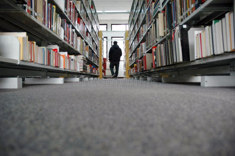 Library stock photo. Image of shelves, room, school, resource - 8075956