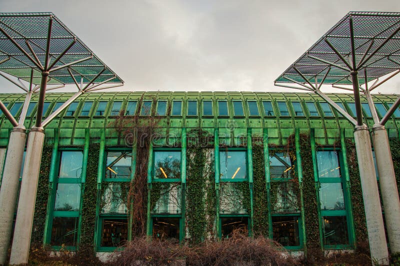 Library stock photo. Image of plant, modern, nature, contemporary ...