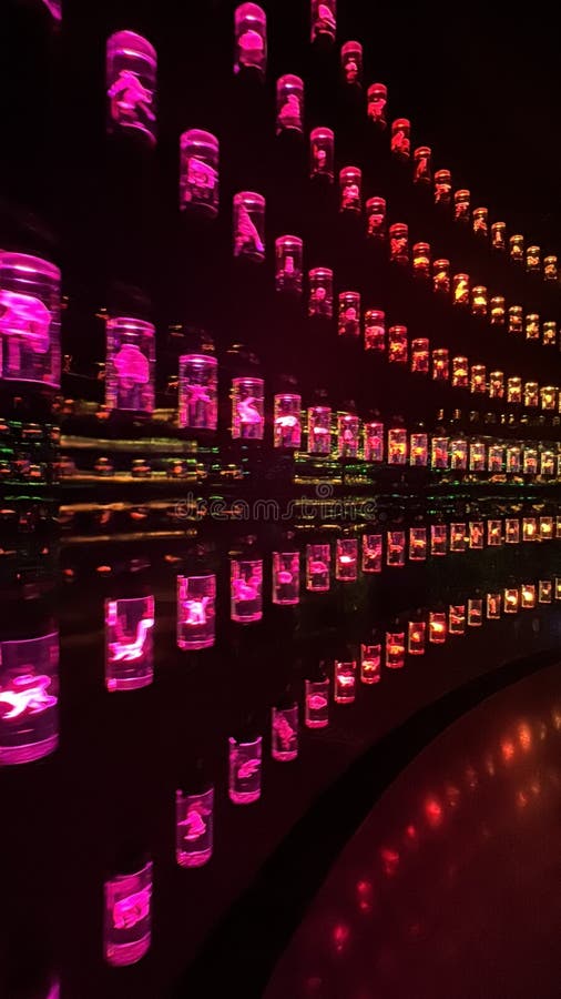 The Library Exhibit at the Museum of the Future in Dubai, UAE Editorial ...