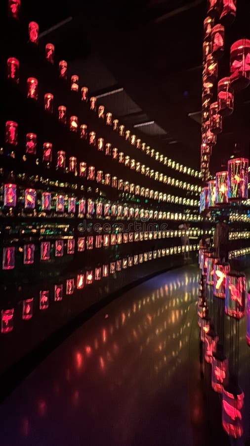 The Library Exhibit at the Museum of the Future in Dubai, UAE Editorial ...